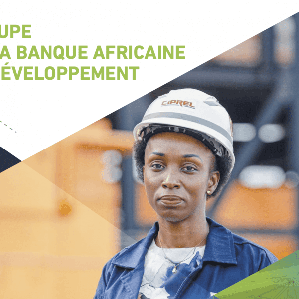 Indice 2022 de l’industrialisation en Afrique, Groupe de la Banque africaine de développement ...